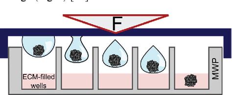 Figure 1 From Automated Large Scale Spheroid Generation Via Hanging