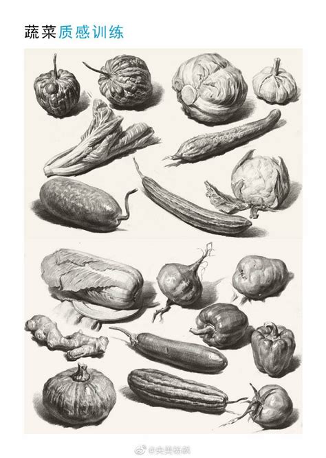 전주굿디자인 달팽이묘사 달팽이개체표현 연필소묘드로잉 정물소묘 연필드로잉 개체묘사 고려대 이대소묘드로 기초디자인 기초드로잉 연필소묘드로잉 정밀묘사 Artofit