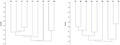 Dendrogram Of Floristic Similarity Obtained By The Method Of