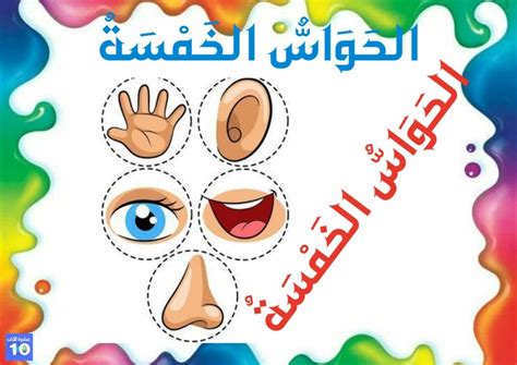 بحث حول الحواس الخمسة سنة اولى ابتدائي
