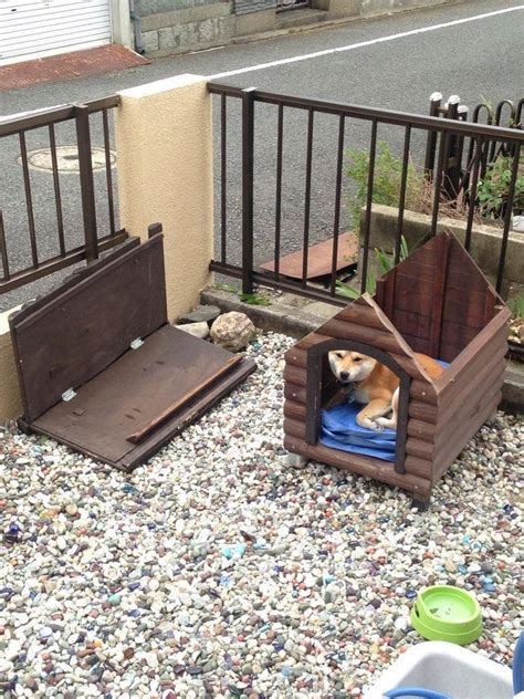 바람에 지붕이 통째로 날라간 일본 집 인스티즈instiz 이슈 카테고리