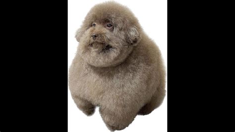 A Shadow Over Freddys Max Mode Youtube