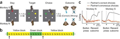 Social Error Monitoring In Macaque Frontal Cortex Nature Neuroscience