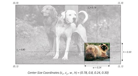 [object Detection] Object Detection 튜토리얼 Ssd300 Part 1