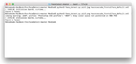 Face Detection Code Running Download Scientific Diagram