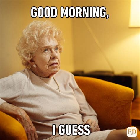 Hilarious Adults Memes