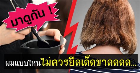 ผมแบบไหนไม่ควรยืด รู้ไว้ก่อนสายถ้าไม่อยากผมพัง