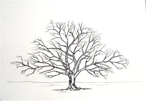Как нарисовать дерево без листьев поэтапно
