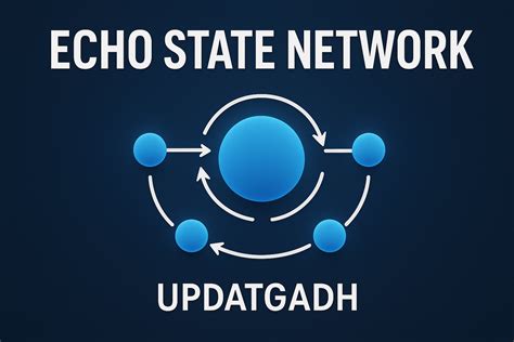 Echo State Network