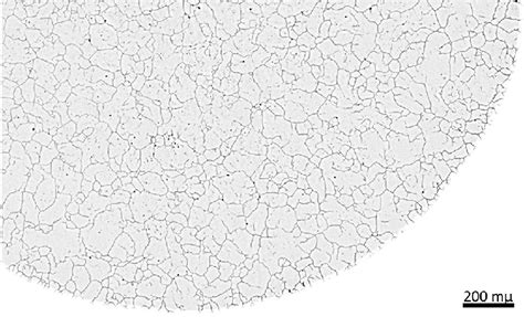 Transverse Section Of The Microstructure Of Stainless Steel 14301