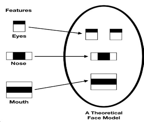 Fig Face Detection Using Haar Cascades Download Scientific Diagram