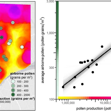 Total Annual Pollen Production Compared To Average Airborne Pollen