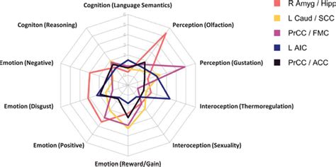 Functional Decoding Analysis Of Convergent Regions In The All‐effects