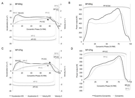 Concentric Vs Eccentric Rollers At Donald Pennington Blog