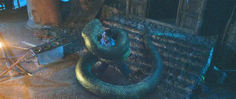 Mutant Python 2021