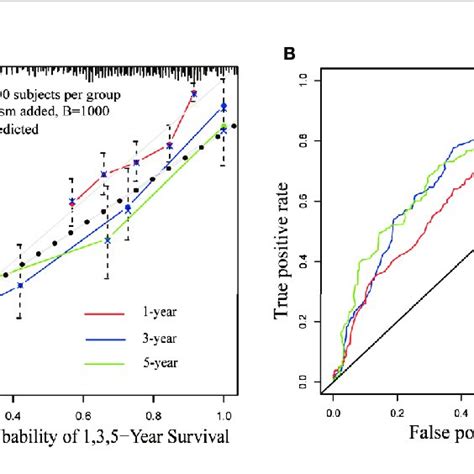 Calibration And Discrimination Validation A The Calibration Curve