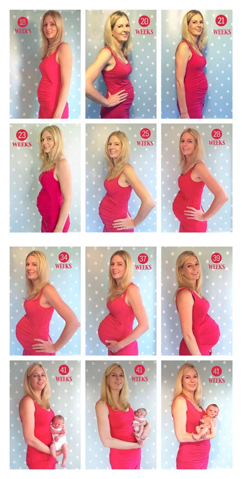 Pregnancy Weekly Pictures Weekly Pregnancy Pictures Pregnancy Belly