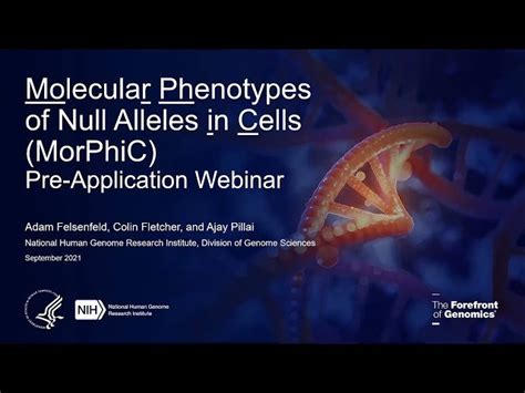Free Video Molecular Phenotypes Of Null Alleles In Cells Pre Application Webinar From