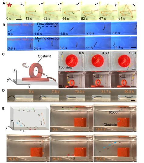 香港中文大学张立教授课题组《advanced Materials》发表研究成果 知乎