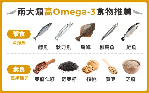 Omega 3魚油藏有哪些功效？攝取前你不可不知的重點都在這！