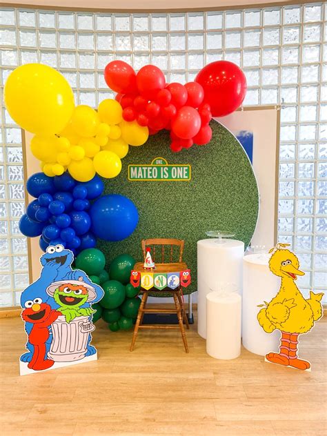 Sesame Street Birthday Sesame Street Catch My Party