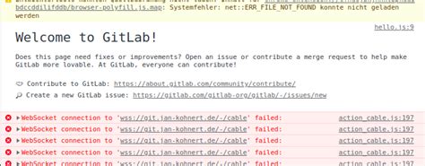 Websocket Error Self Managed Gitlab Forum