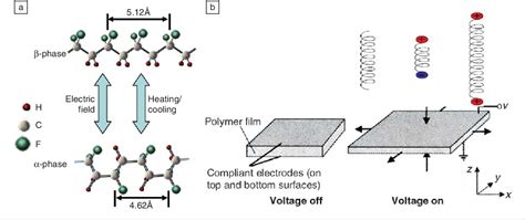 Electroactive Polymers Semantic Scholar