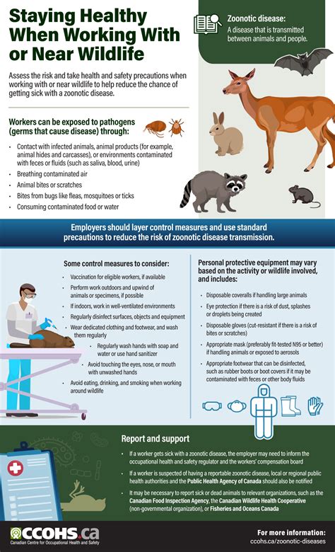 Ccohs Staying Healthy When Working With Or Near Wildlife