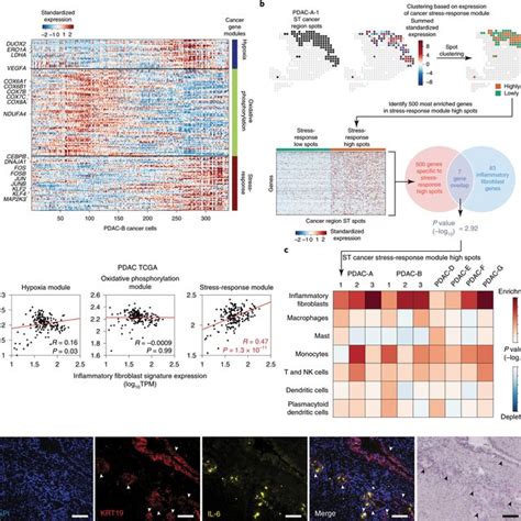 Integrating Microarray Based Spatial Transcriptomics And Single Cell