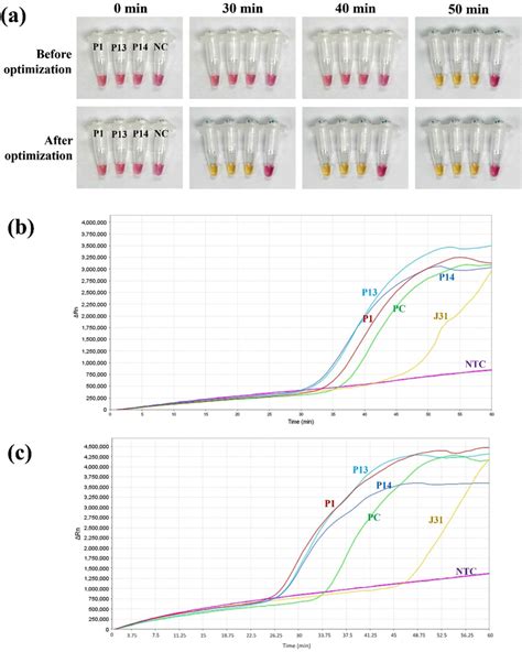 A Colorimetric Rt Lamp Using E Id1 Primer Set On Clinical Samples