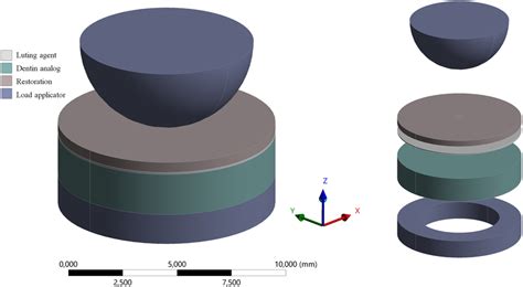 Schematic Representation Of The Setup Of The Tri Layer Biaxial Flexural