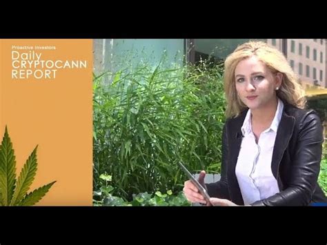 How To Invest In Bitcoin Awesome Miner With Mining Pool Hub Setup Guide Awesome Miner Cpu Mining