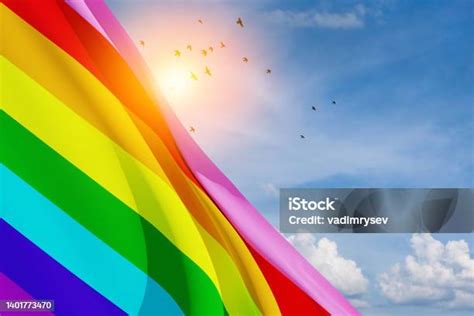 날으는 새 무지개 깃발 배경으로 푸른 하늘에 Lgbt 자존심 깃발을 흔들고 있습니다 여러 가지 색의 평화 깃발 운동 동성애자의 권리에 대한 스톡 사진 및 기타 이미지