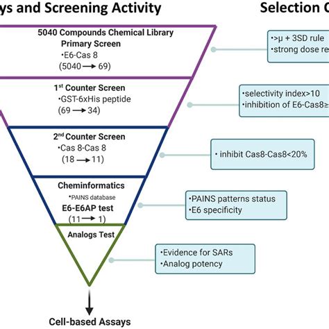 Summary Of High Content Screening Strategy Screening Funnel Scheme