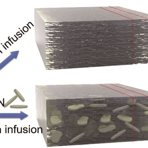 Electrical Conductivity Of The Cf Composite Download Scientific Diagram