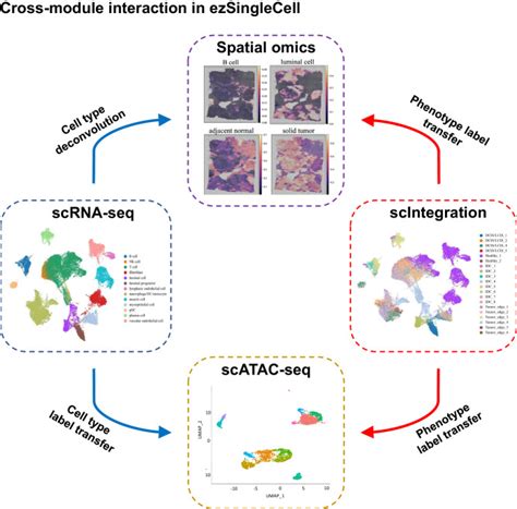 Ezsinglecell An Integrated One Stop Single Cell And Spatial Omics Analysis Platform For Bench