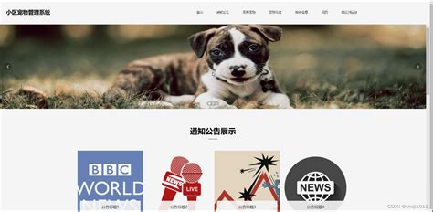 java毕设项目小区宠物管理系统（java vue mybatis maven mysql） 社区宠物管理系统 csdn博客