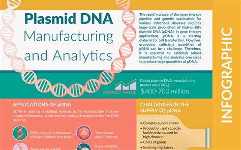 Bioinsights Plasmid Dna Manufacturing And Analytics Infographic