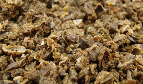 Propolis Flavonoids Antibacterial Antiinflammatory Rita Lee 🐝