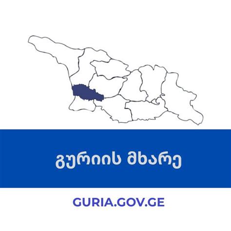 გურიის მხარე სახელმწიფო რწმუნებულმა გურიის მხარეში გიორგი სახოკიამ მოადგილესთან ქეთევან