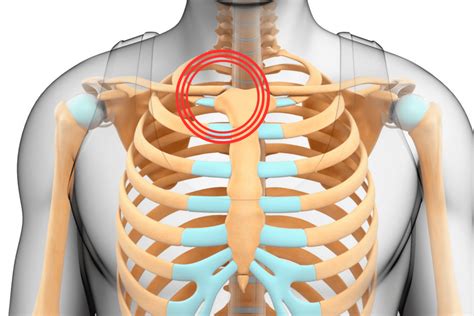 Sternoclavicular Joint Injuries Understanding The Why