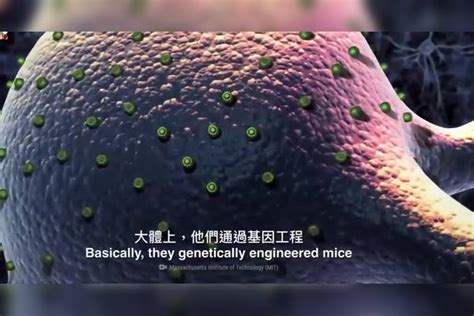 假如有人把虚假信息植入你的大脑，你会发现吗大脑信息
