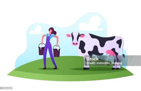 밀크맨 직업 개념 여성 캐릭터 작업 에 농장 우유 를 입은 여자 에 유니폼 운반 양동이 후 착유 암소 농장에 대한 스톡 벡터 아트 및 기타 이미지 Istock