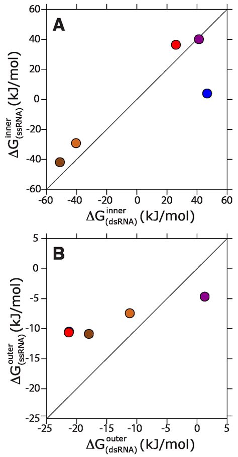 Mg 2 Binding Affinities On A Dsrna Vs Ssrna Plot A Shows Inner