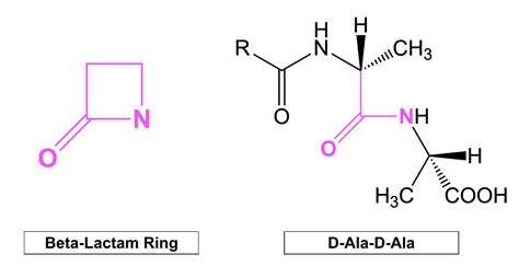 Pdb 101 Global Health Antimicrobial Resistance Undefined Beta Lactam Antibiotics