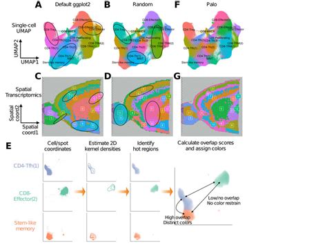 A B Visualization Of Single Cell RNA Seq Data With Default Ggplot2 Download Scientific