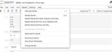 Cell Not Executed Due To Pending Input The Cell Has Not Been Executed
