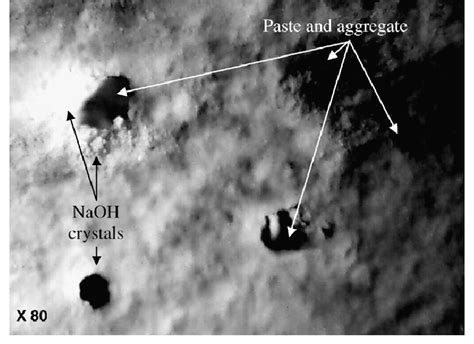Microscopic Image Of Mortar Bar Structure Showing The Surface Of Paste Download Scientific