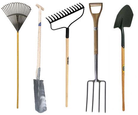 10 Tools Every Gardener Should Own ST LOUIS HOMES LIFESTYLES