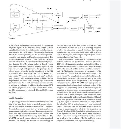 Solved Of The Afferent Projections Traveling Through The
